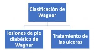 Clasificación de Wagner - ¿Cómo se clasifican?