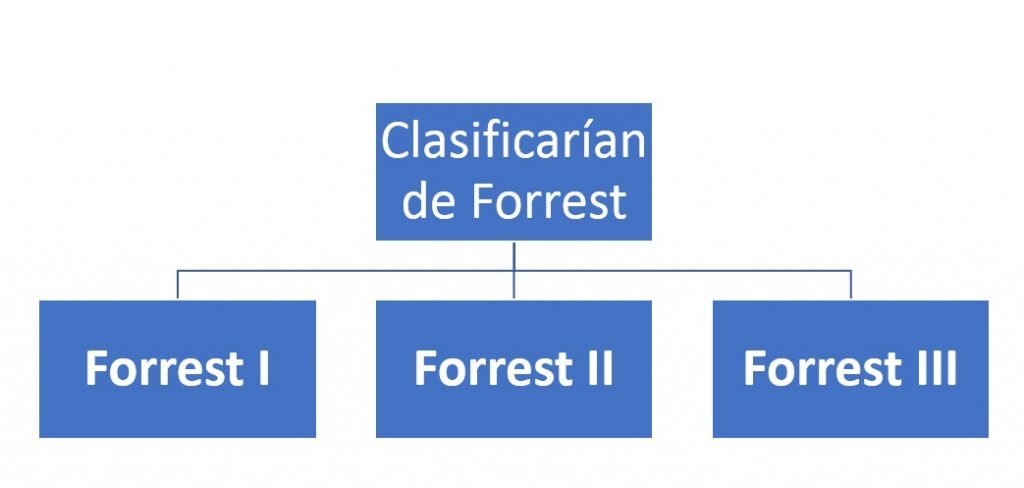 Clasificarían de Forrest - ¿Cómo se clasifican?
