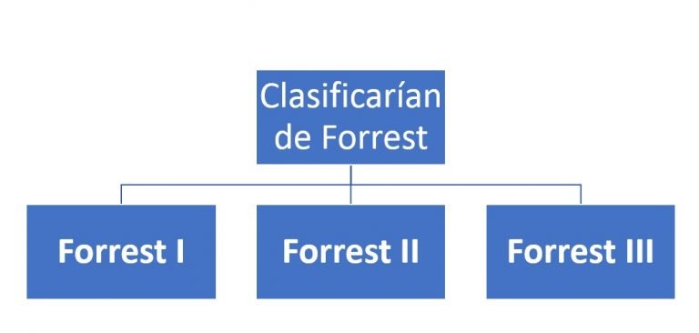 Clasificarían de Forrest - ¿Cómo se clasifican?