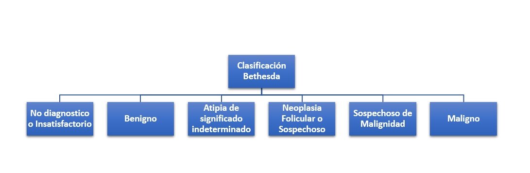 Clasificación de Bethesda - ¿Cómo se clasifican?