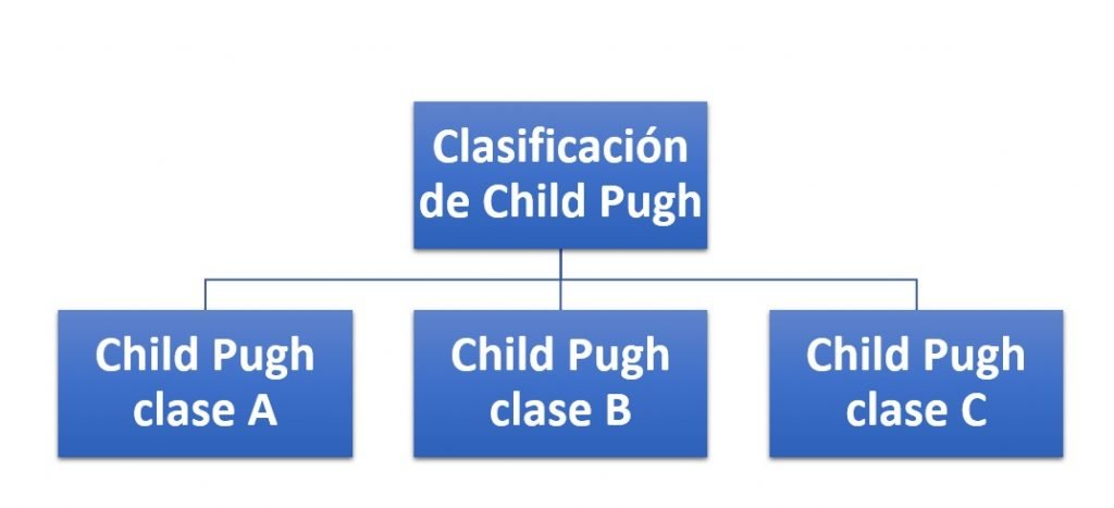 Clasificación de Child Pugh - ¿Cómo se clasifican?