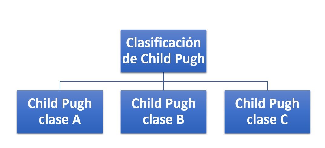 Clasificación de Child Pugh - ¿Cómo se clasifican?