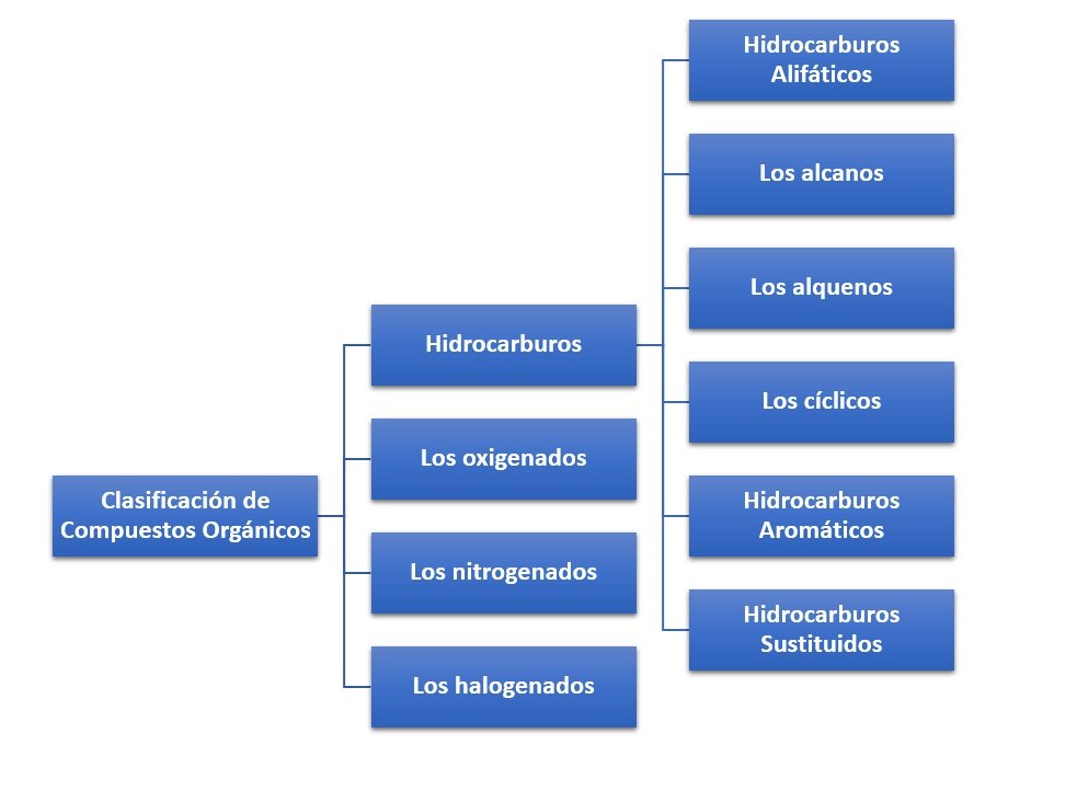 Clasificación de Compuestos Orgánicos - ¿Cómo se clasifican?