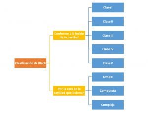 Clasificación de Black - ¿Cómo se clasifican?