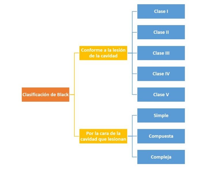 Clasificación de Black - ¿Cómo se clasifican?