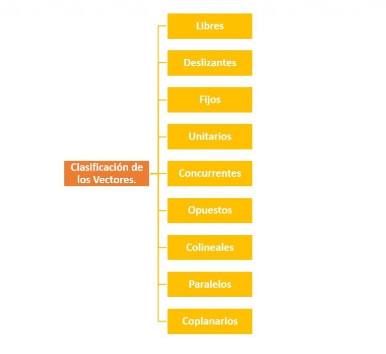 Clasificación de los Vectores - ¿Cómo se clasifican?