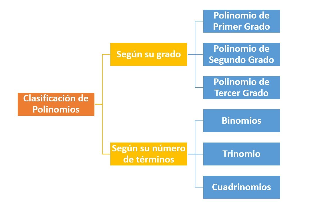 Clasificación de Polinomios - ¿Cómo se clasifican?