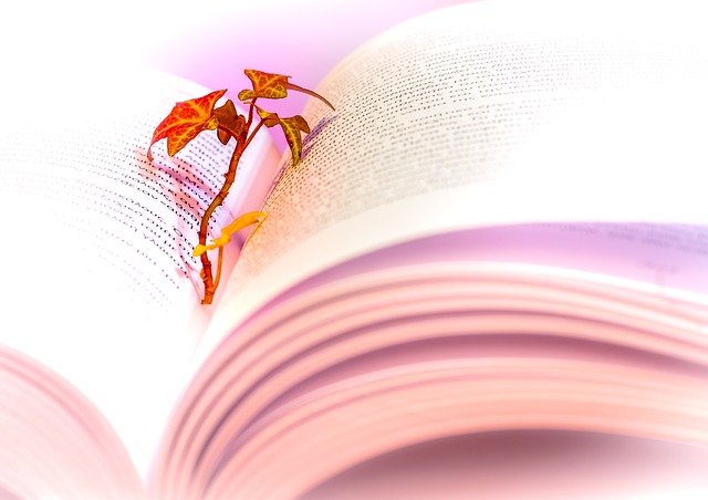 7 Ejemplos De Poemas Con Rima (contenido con nivel gramático)