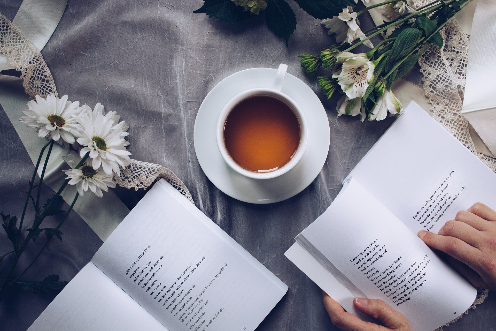 3 Ejemplos de dedicatorias para regalar libros - ¿Cómo se clasifican?