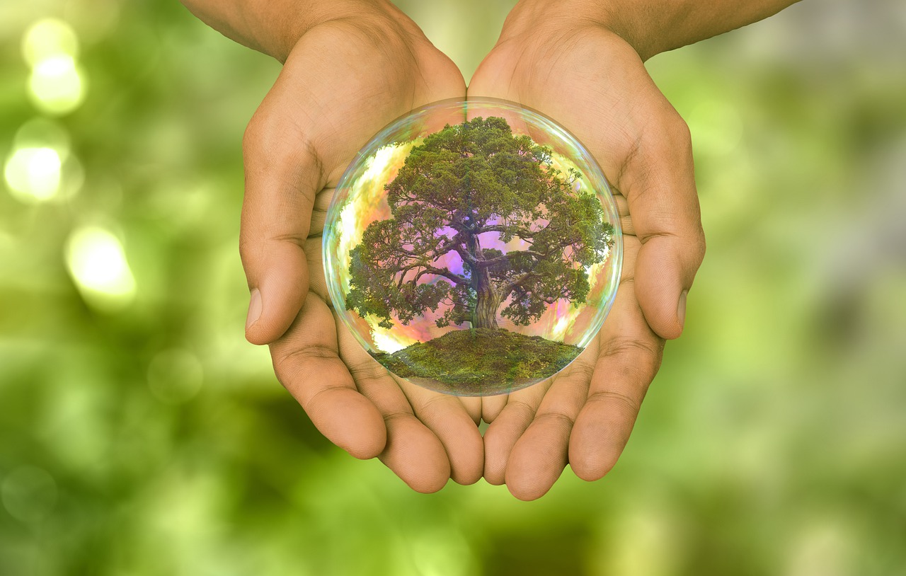 5 ejemplos de desarrollo sustentable en México - ¿Cómo se clasifican?