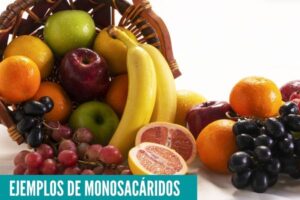 10 Ejemplos de Monosacáridos - ¿Cómo se clasifican?
