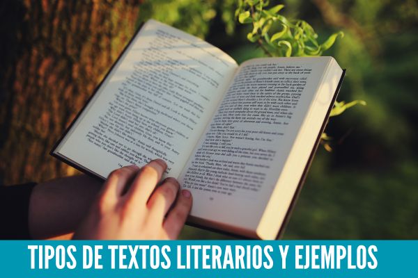 3 Tipos De Textos Literarios Y Sus Ejemplos ¿cómo Se Clasifican