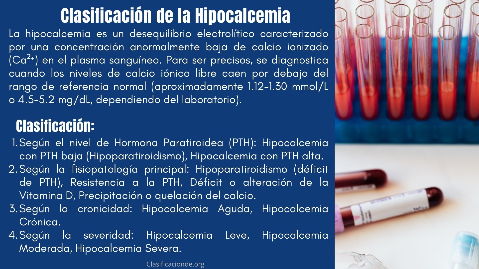 ClasificaciónDe - Información de clasificaciones en ciencias, empresas ...