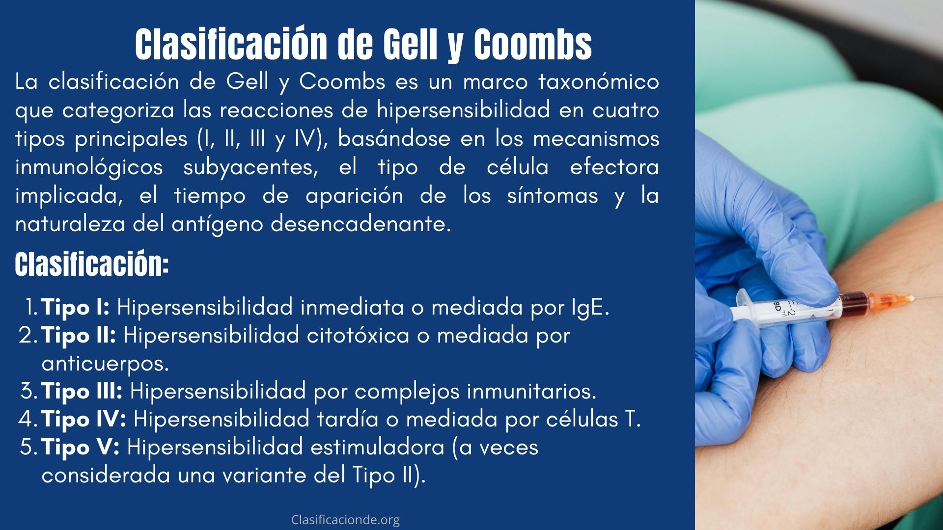 Clasificación de Gell y Coombs - ¿Cómo se clasifican?